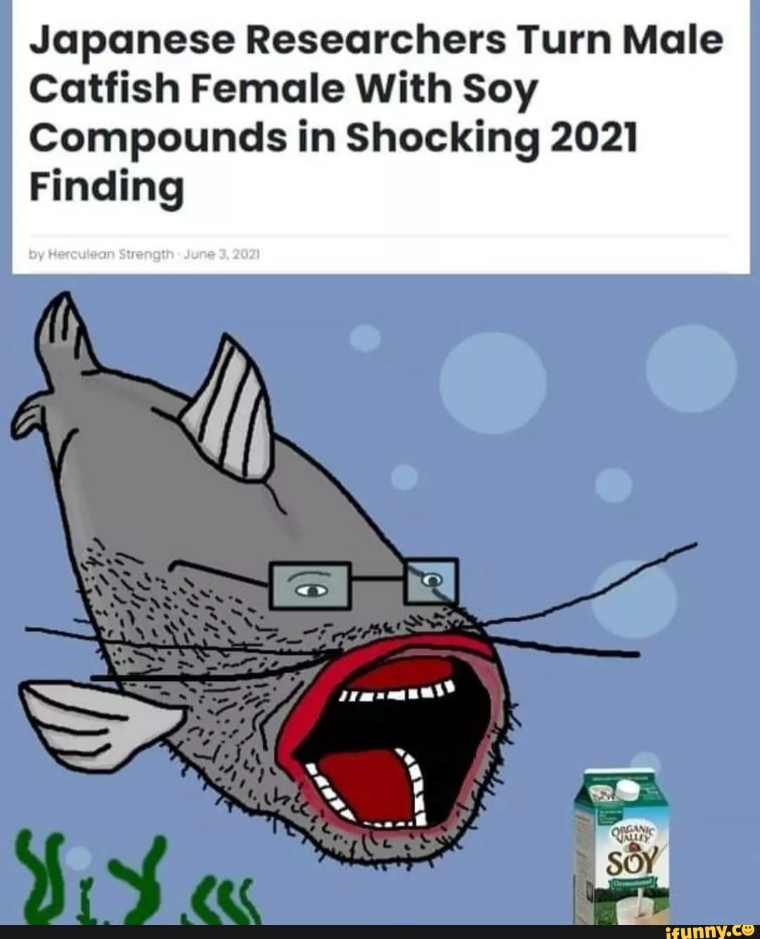 Catfish Photos Female at Jett Embling blog