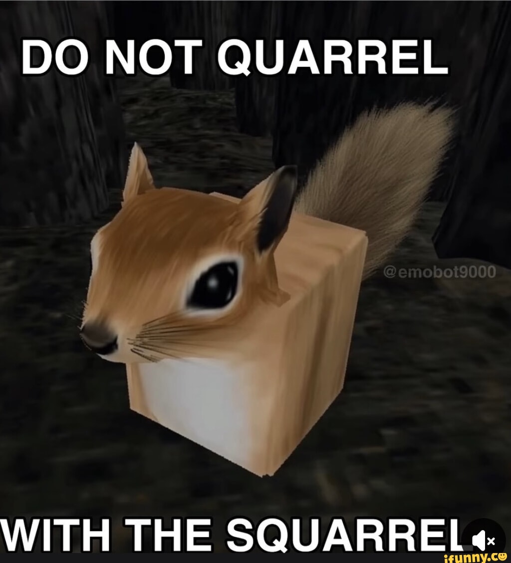 DO NOT QUARREL WITH THE SQUARREL" - iFunny