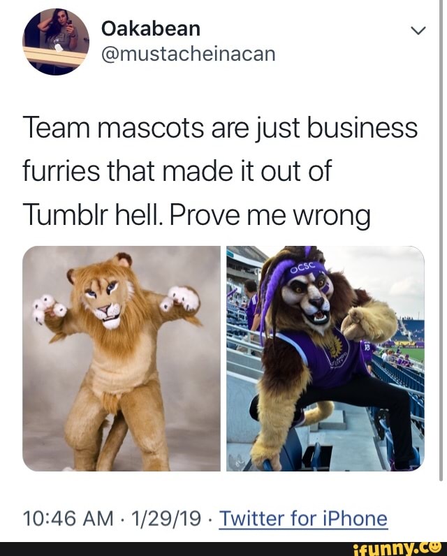 Team mascots are just business furries that made it out of Tumblr hell ...
