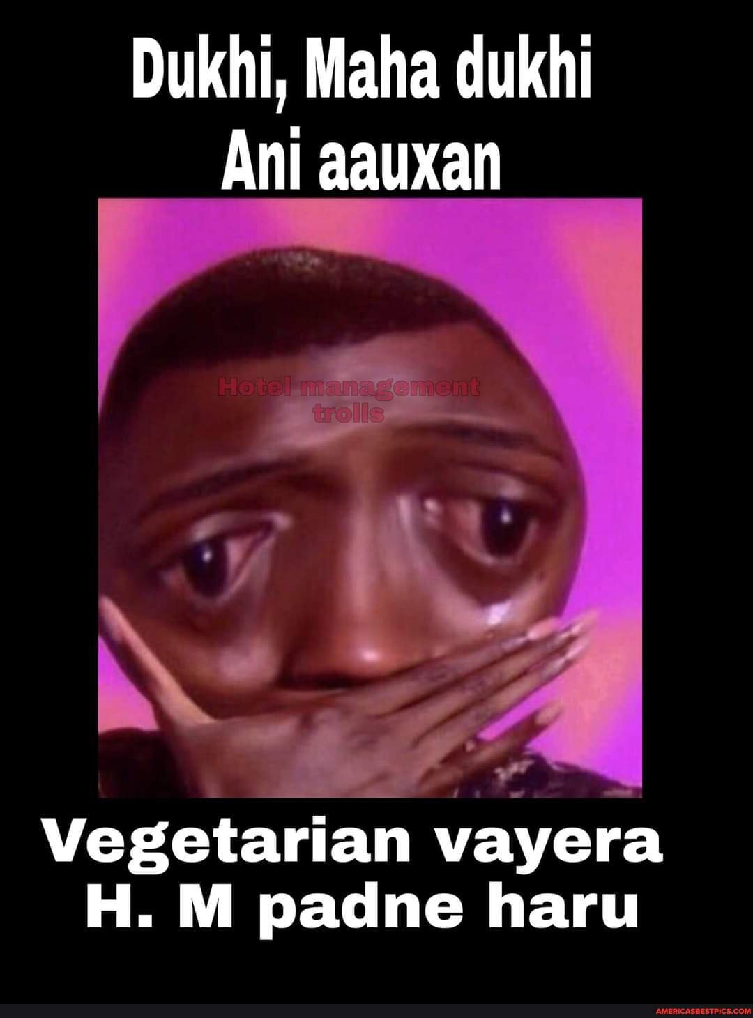 Any Vegetarian you know?? - Dukhi, Maha dukhi Ani aauxan Vegetarian ...