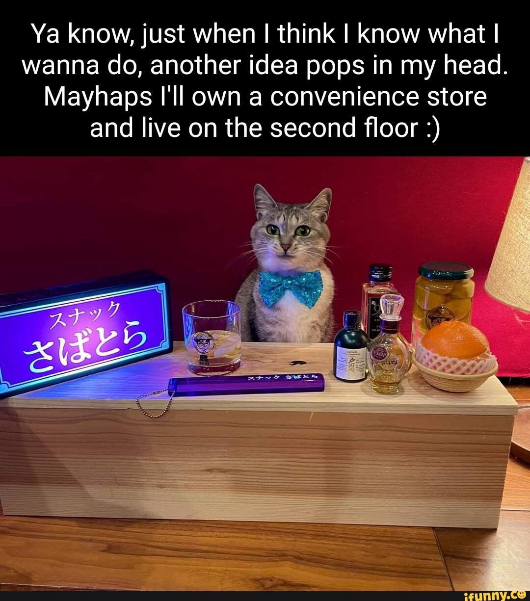 Mayhaps memes. Best Collection of funny Mayhaps pictures on iFunny