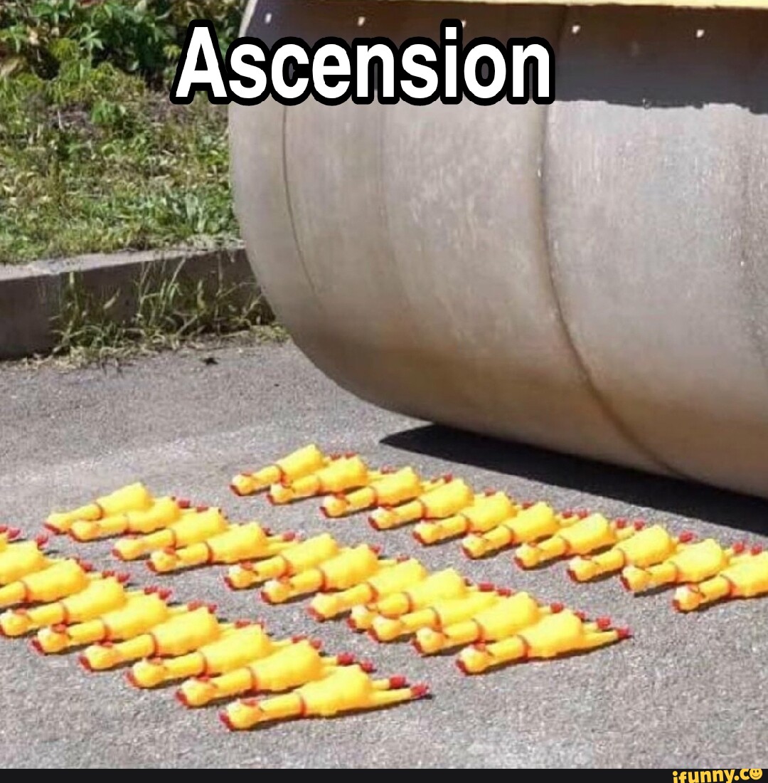 Rubber Chicken Memes Do Funny Screaming Rubber Chicken Video For You