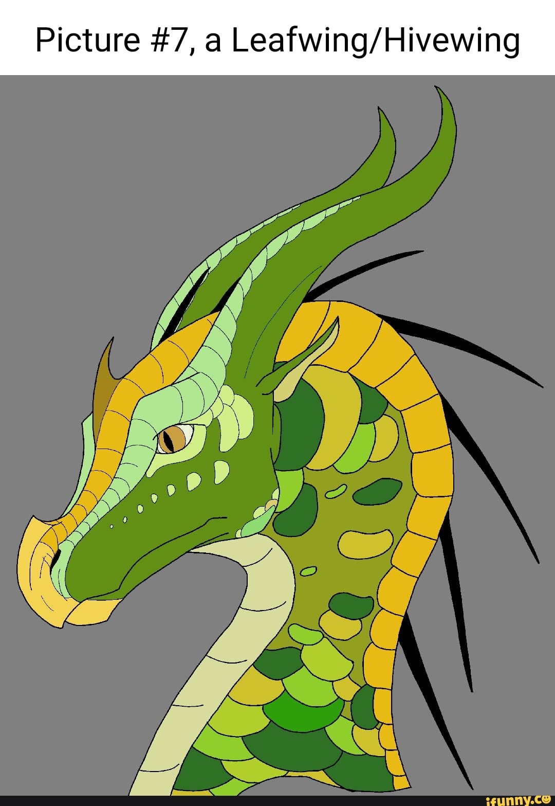 Hivewing memes. Best Collection of funny Hivewing pictures on iFunny