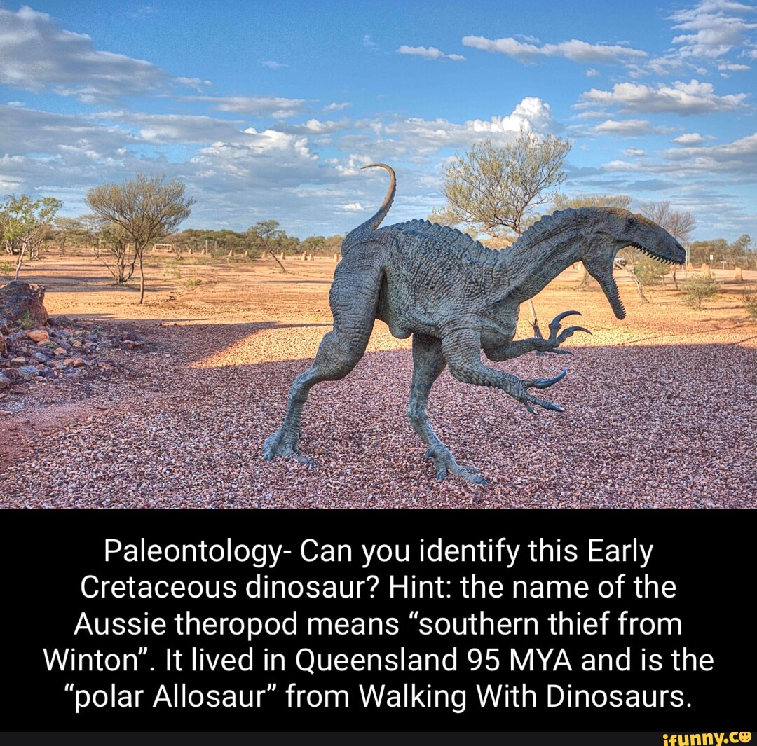 Queensland memes. Best Collection of funny Queensland pictures on iFunny