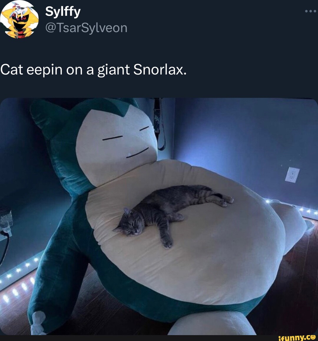 Cat eepin on a giant Snorlax. - iFunny