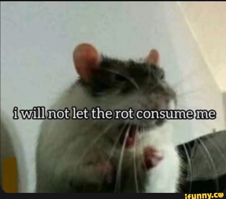 Ibwiillmotilet the rot consume - iFunny