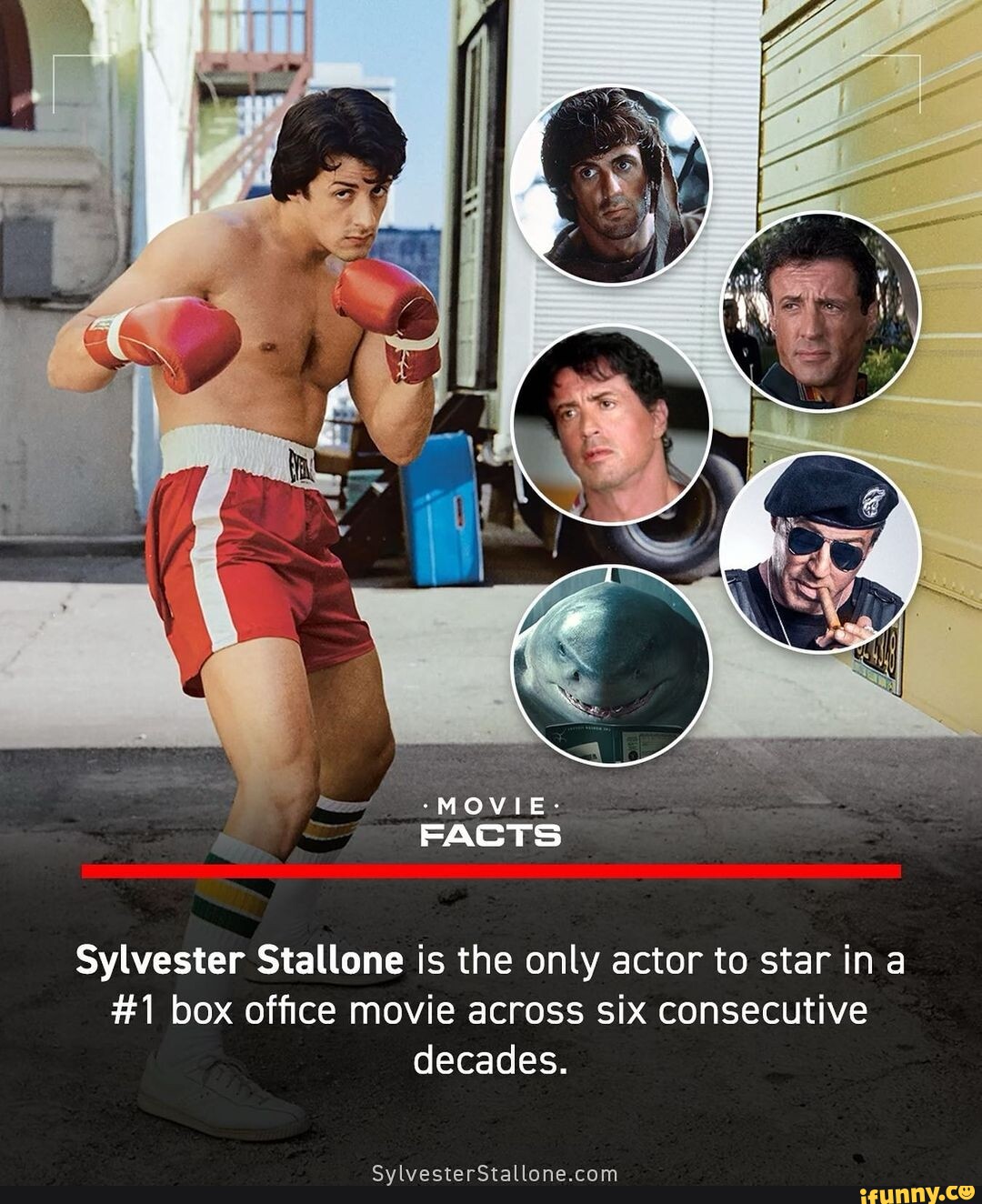 -MOVIE- FACTS Sylvester Stallone is the only actor to star ina #1 box ...