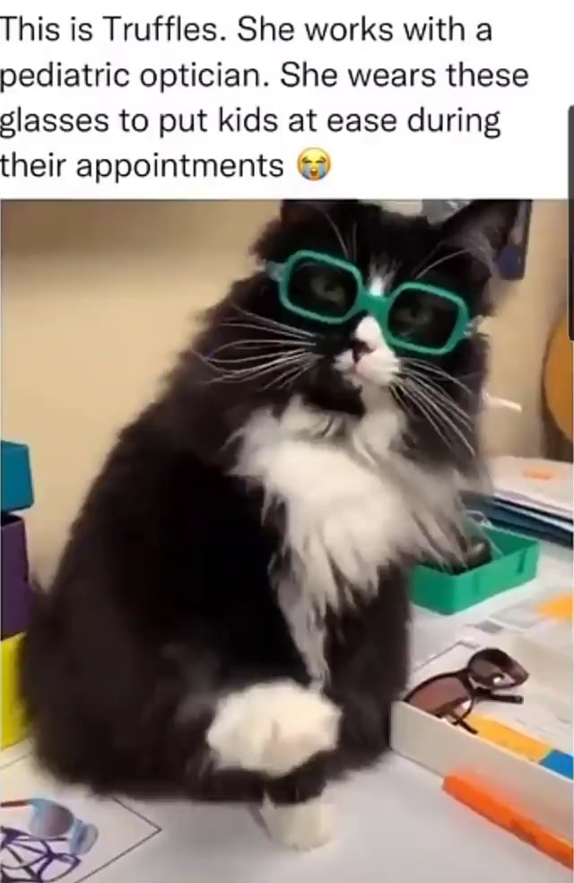 Funny Optician Memes Ophthalmology Memes