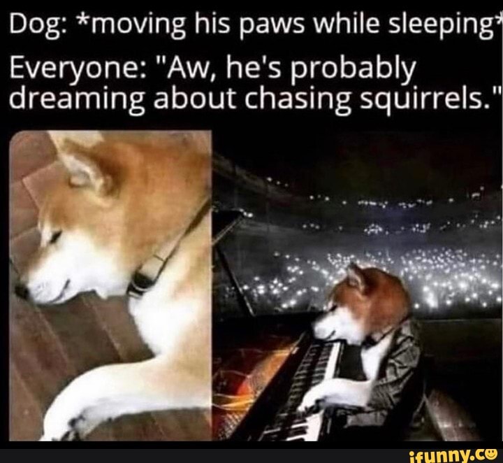Dog: *moving his paws while sleeping' Everyone: "Aw, he's probably ...