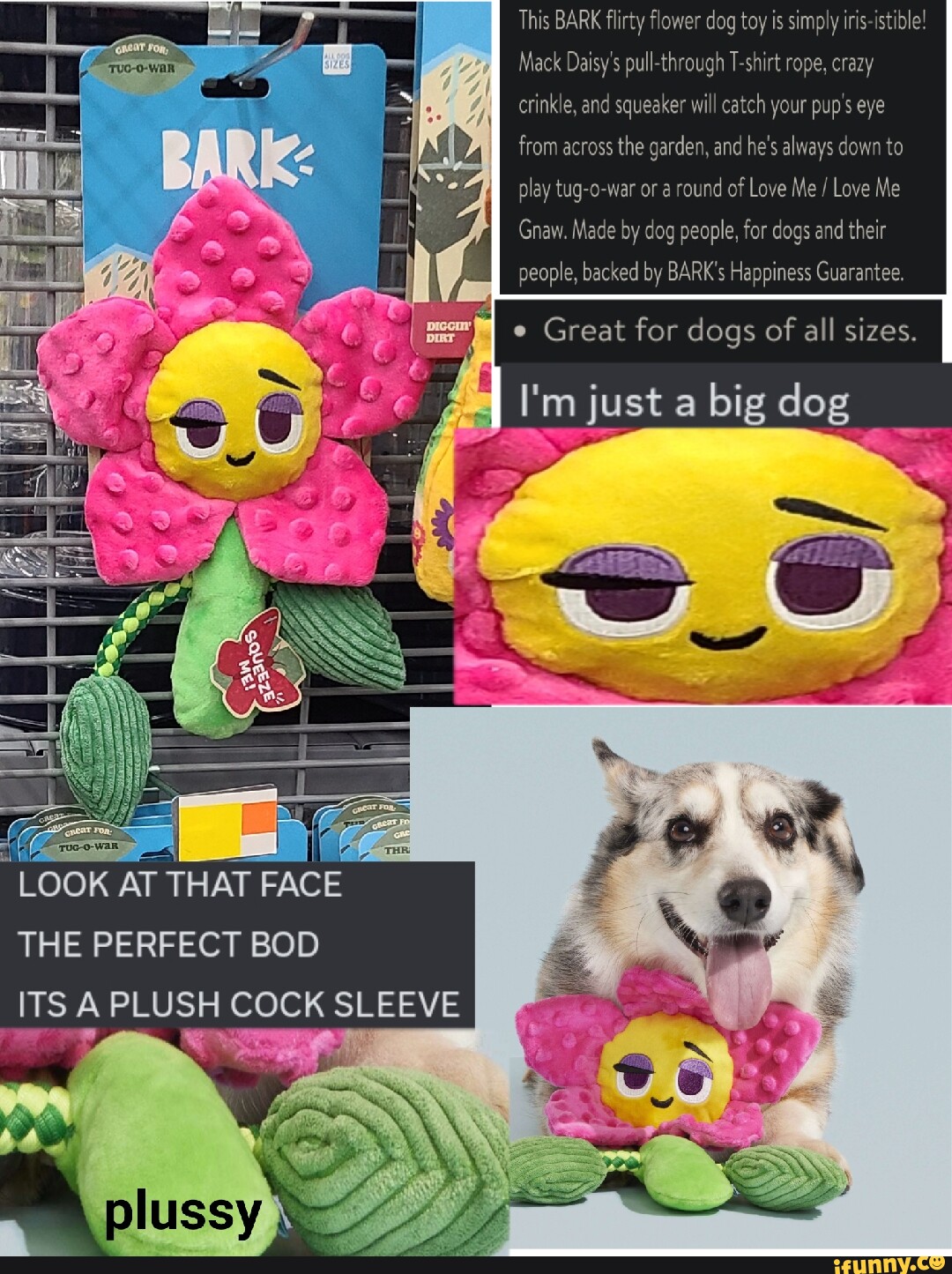 Rope memes. Best Collection of funny Rope pictures on iFunny