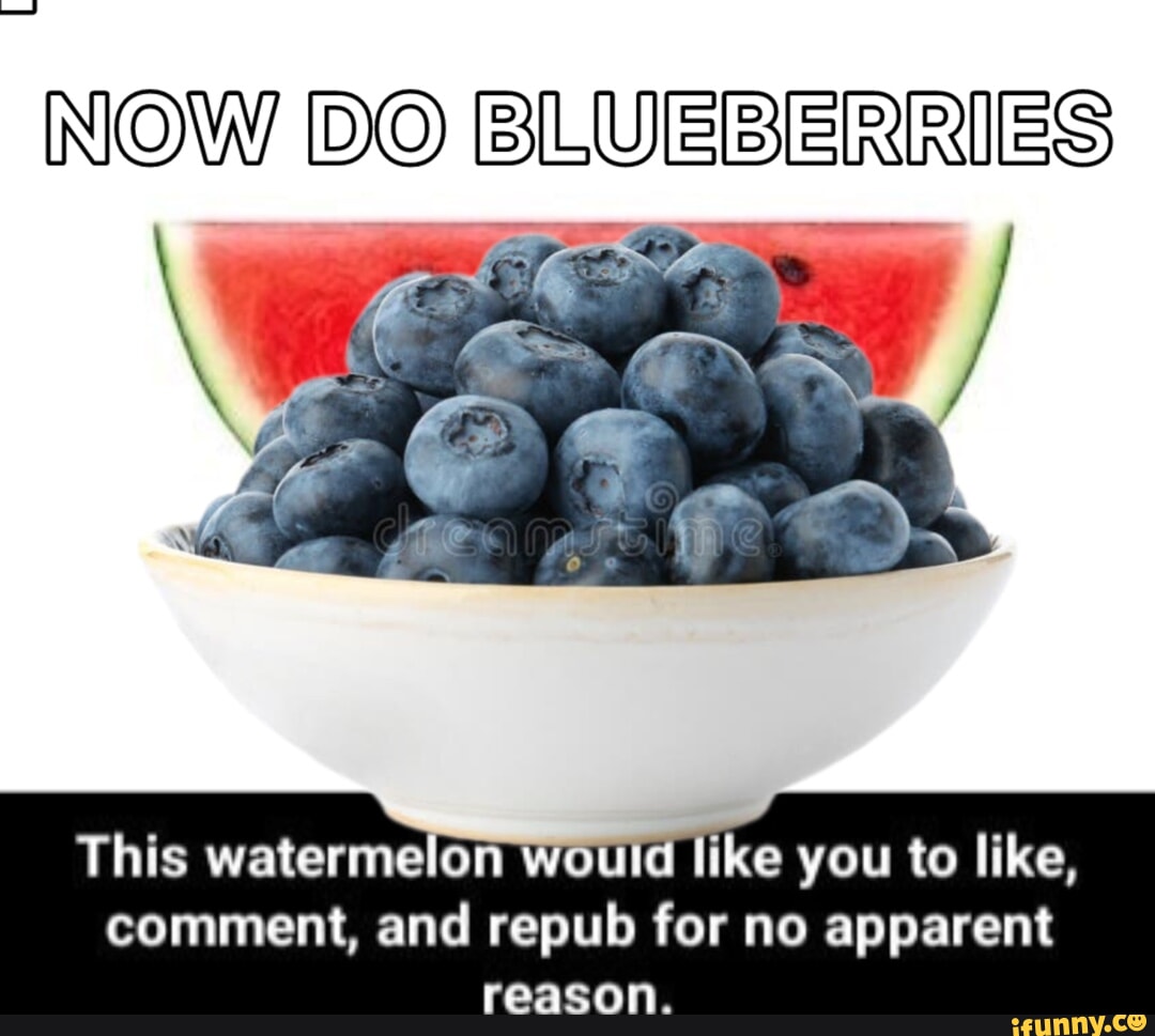 Blueberry memes. Best Collection of funny Blueberry pictures on iFunny