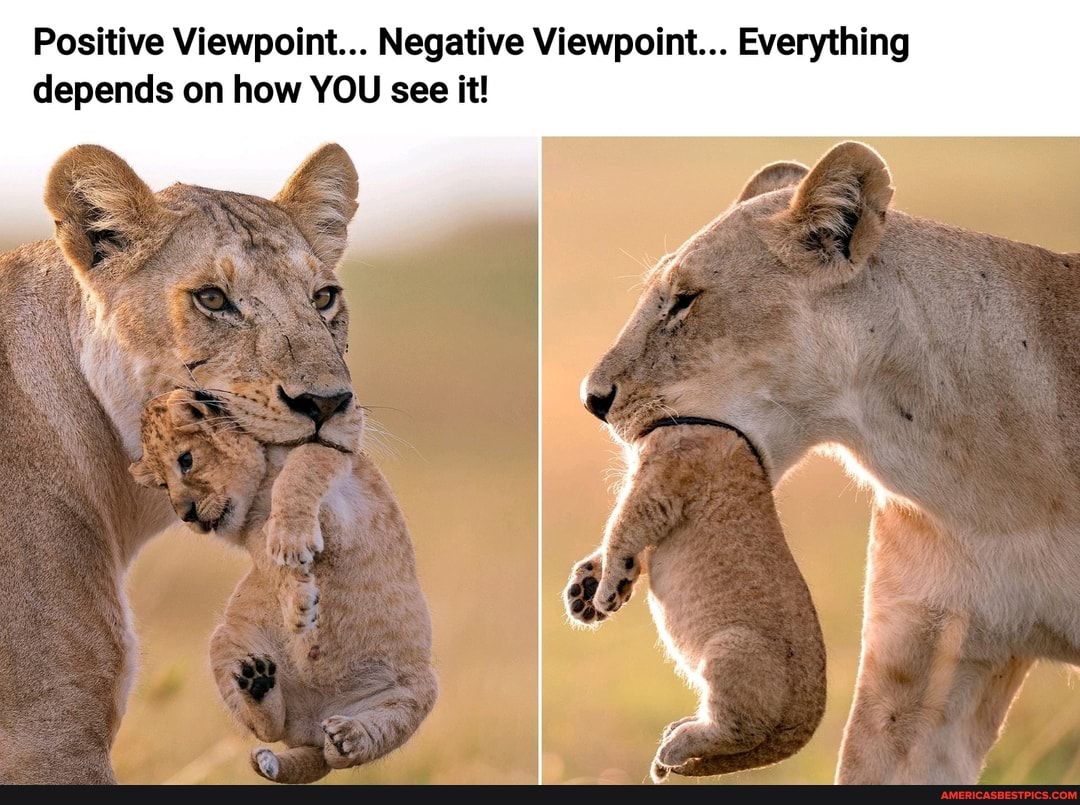 Positive Viewpoint... Negative Viewpoint... Everything depends on how ...