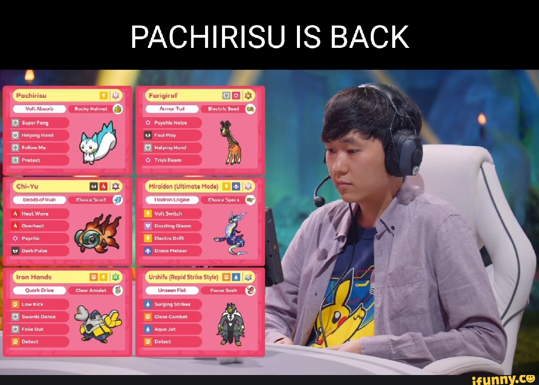 Pachirisu memes. Best Collection of funny Pachirisu pictures on iFunny