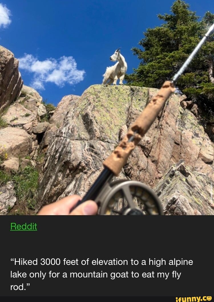 "Hiked 3000 feet of elevation to a high alpine lake only for a mountain ...