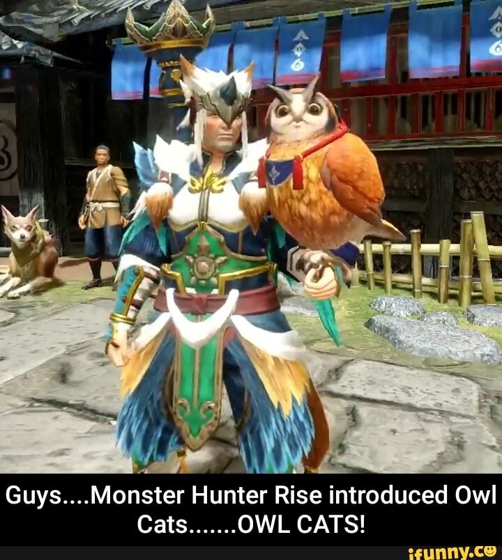 Owlcat memes. Best Collection of funny Owlcat pictures on iFunny