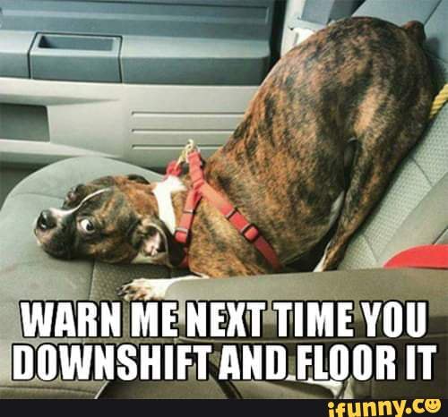 Downshift memes. Best Collection of funny Downshift pictures on iFunny
