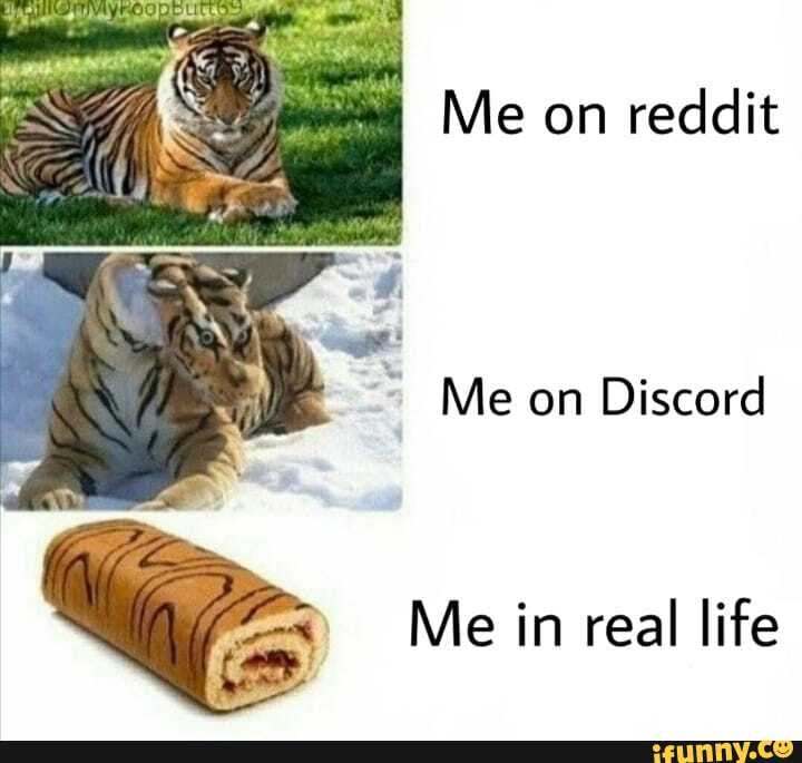 Me on reddit Me on Discord Me in real life - iFunny