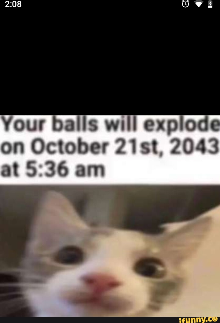 Explod memes. Best Collection of funny Explod pictures on iFunny