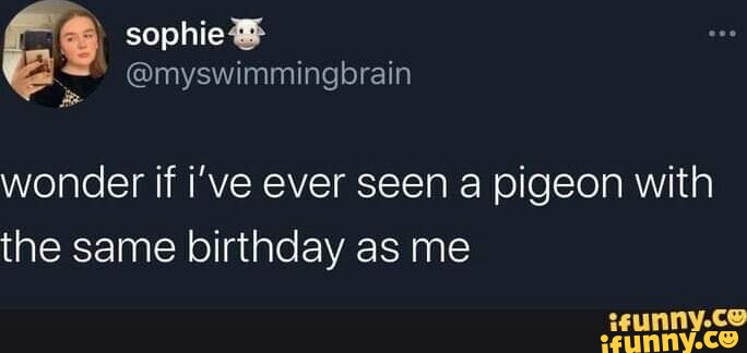 ) sophie @myswimmingbrain wonder if i've ever seen a pigeon with the ...