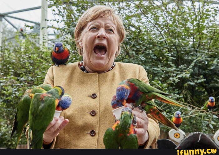 Angela_merkel memes. Best Collection of funny Angela_merkel pictures on ...