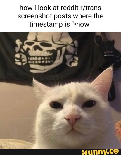 Timestamp memes. Best Collection of funny Timestamp pictures on iFunny