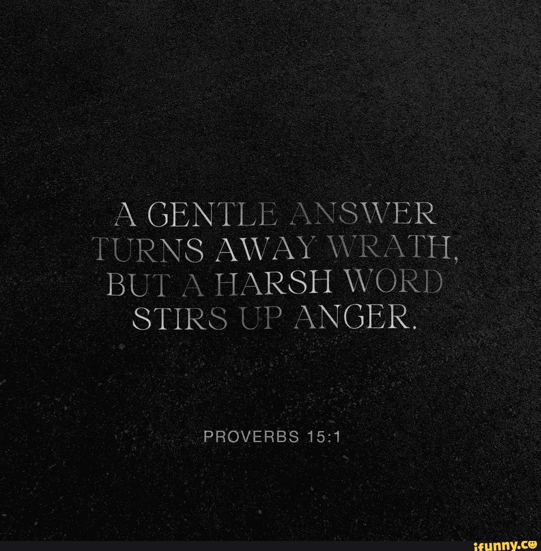 a-gentle-answer-turns-away-wrath-but-a-harsh-word-stirs-up-anger