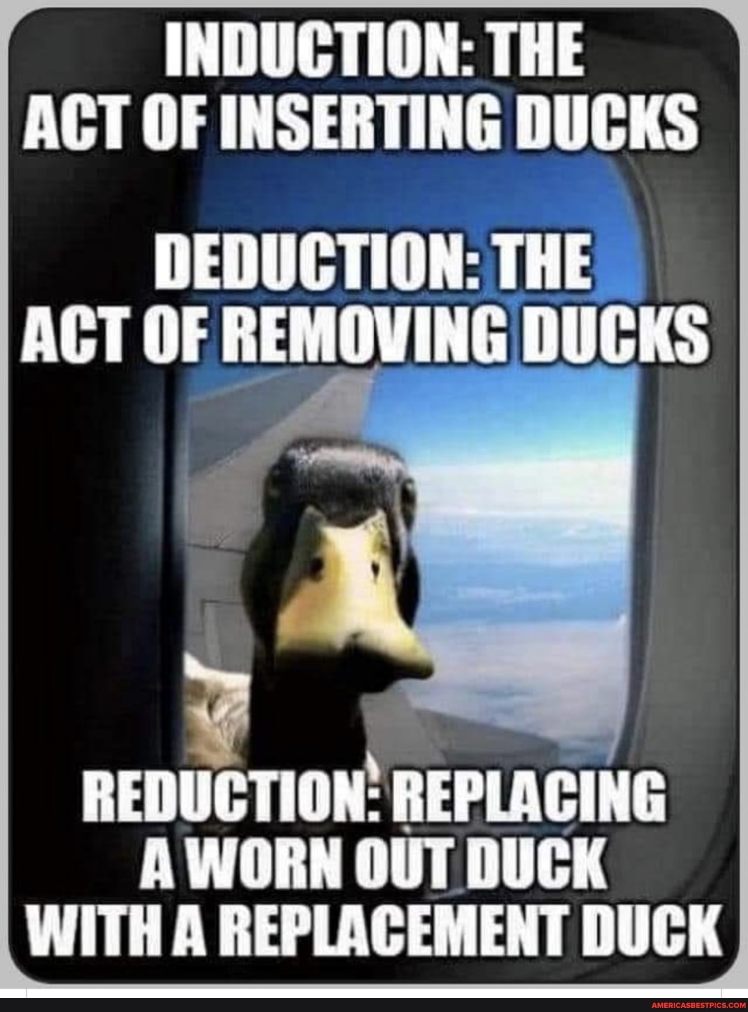 INDUCTION: THE ACT OF INSERTING DUCKS DEDUCTION: THE ACT OF REMOVING ...