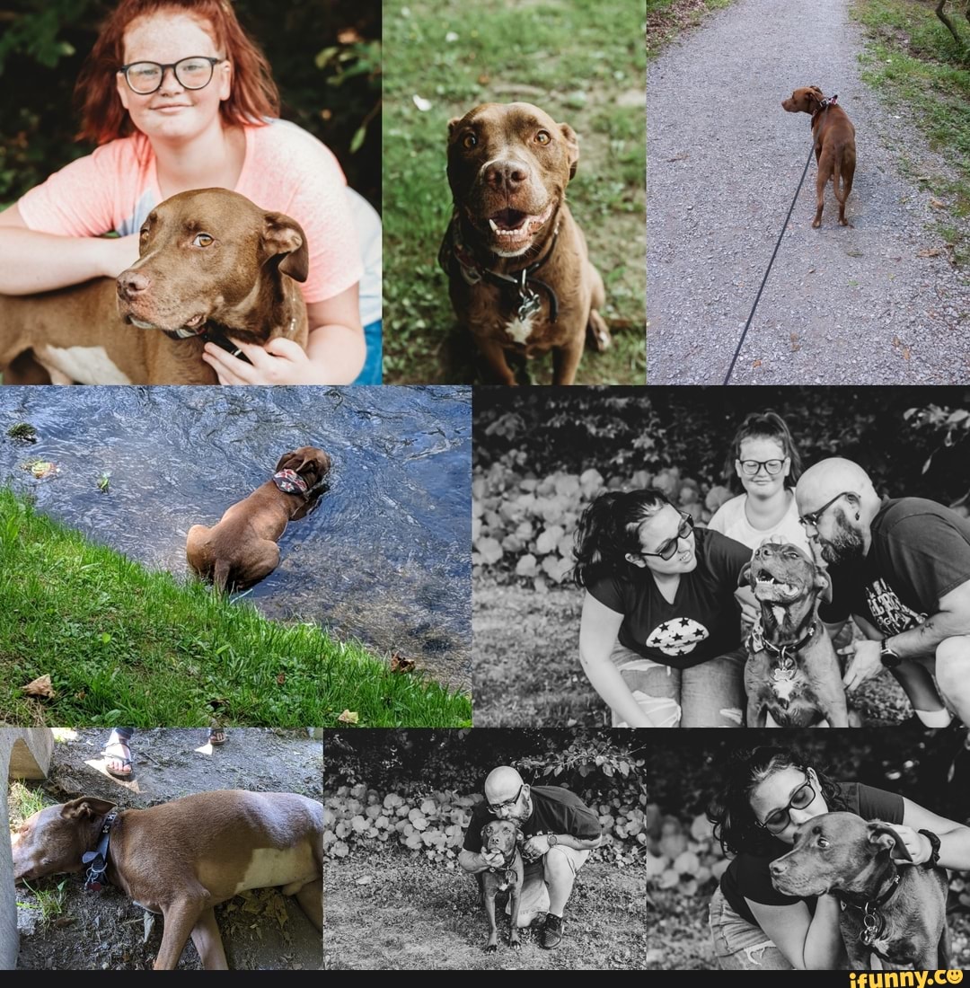 Httpswwwgofundmecomf22h0jfnxuoutm_mediumcopy_linkutm_sourcecustomerutm ...