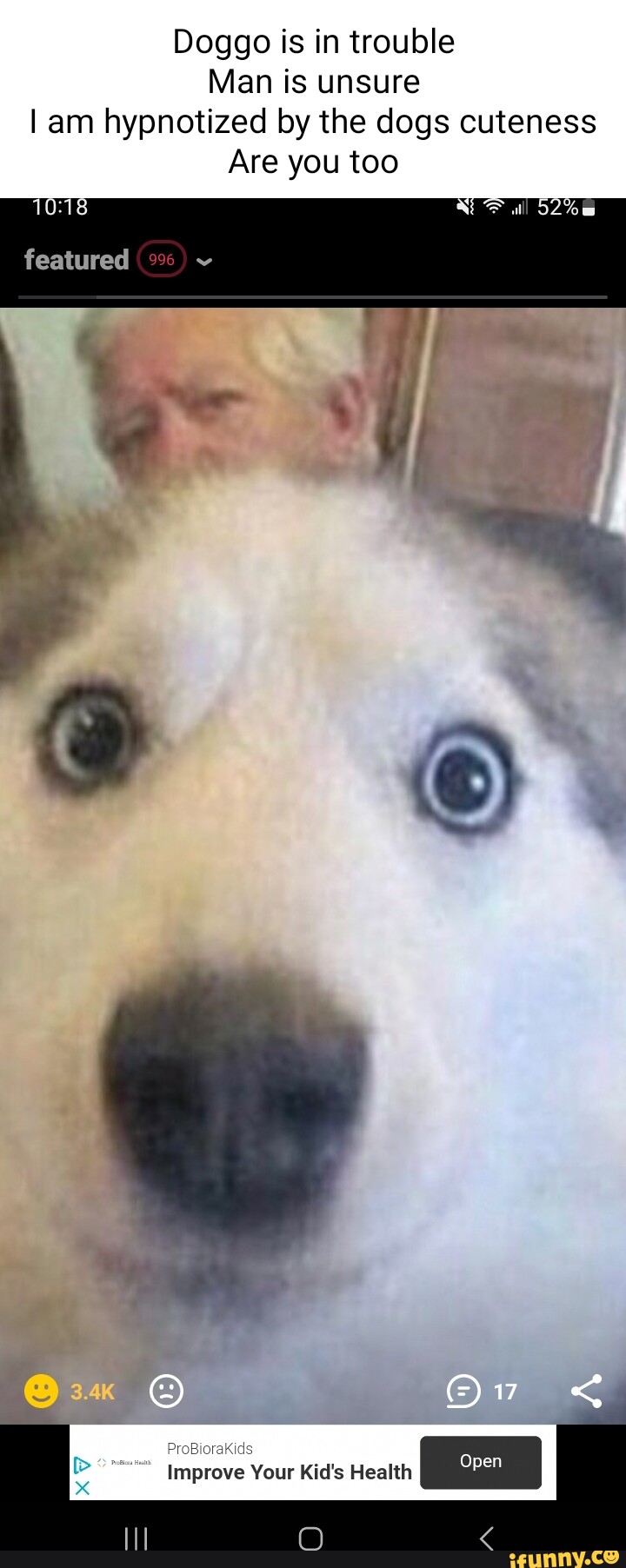 Doggo is in trouble Man is unsure I am hypnotized by the dogs cuteness ...