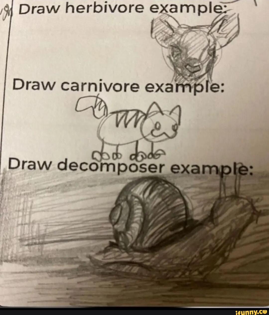 /9 Draw herbivore exampl Draw Carnivore example: Draw decomposer - iFunny