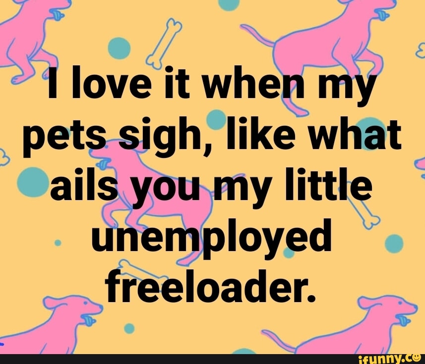 Freeloader memes. Best Collection of funny Freeloader pictures on iFunny