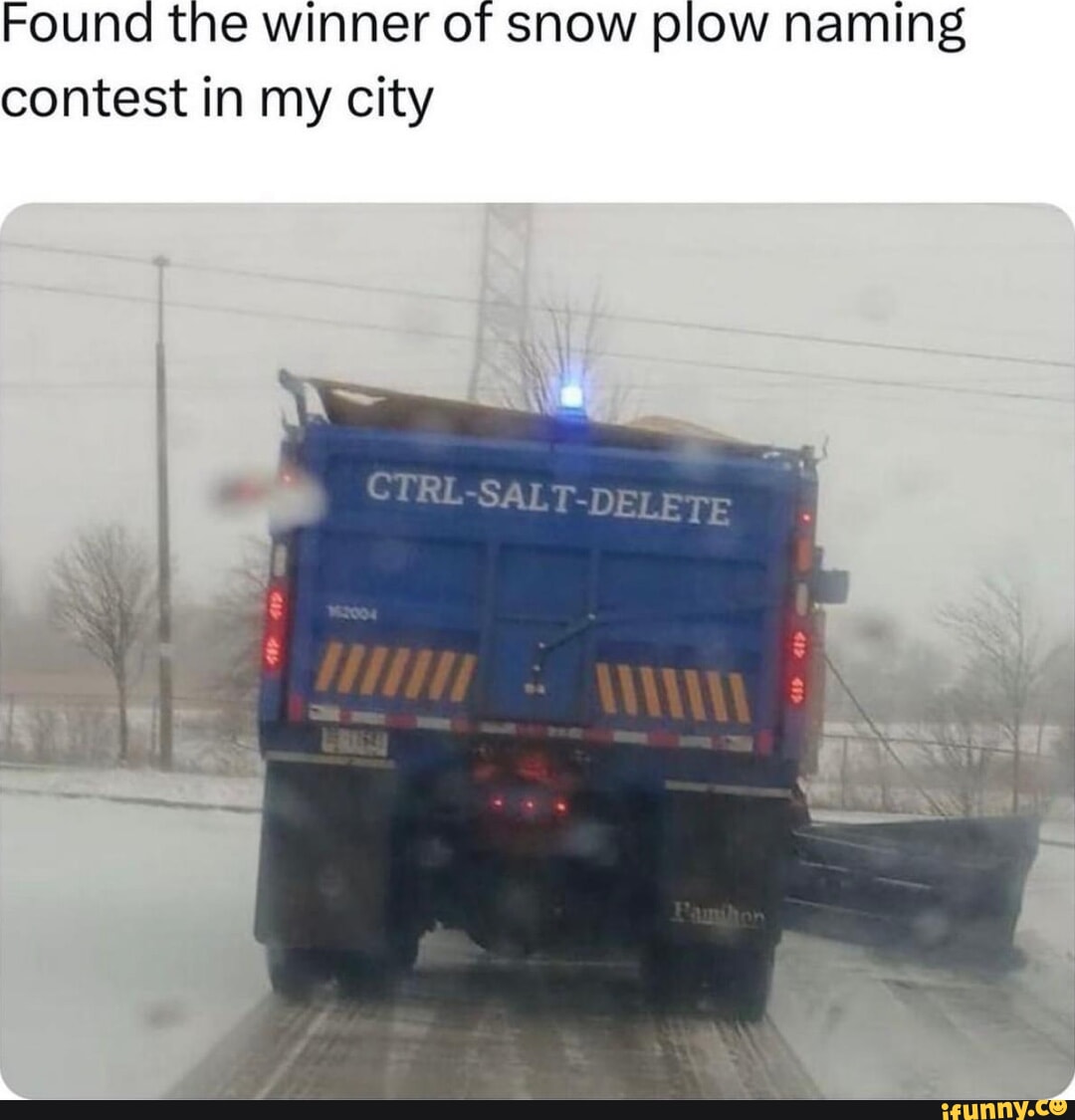 The Irish werewolf is different from the Teutonic or European werewolf ...