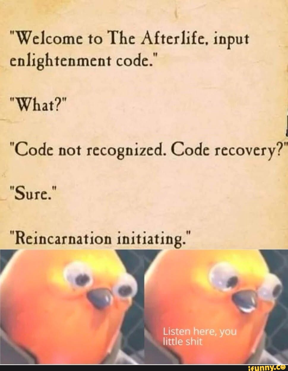 "Welcome to The Afterlife, input enlightenment code." "What?" "Code not ...