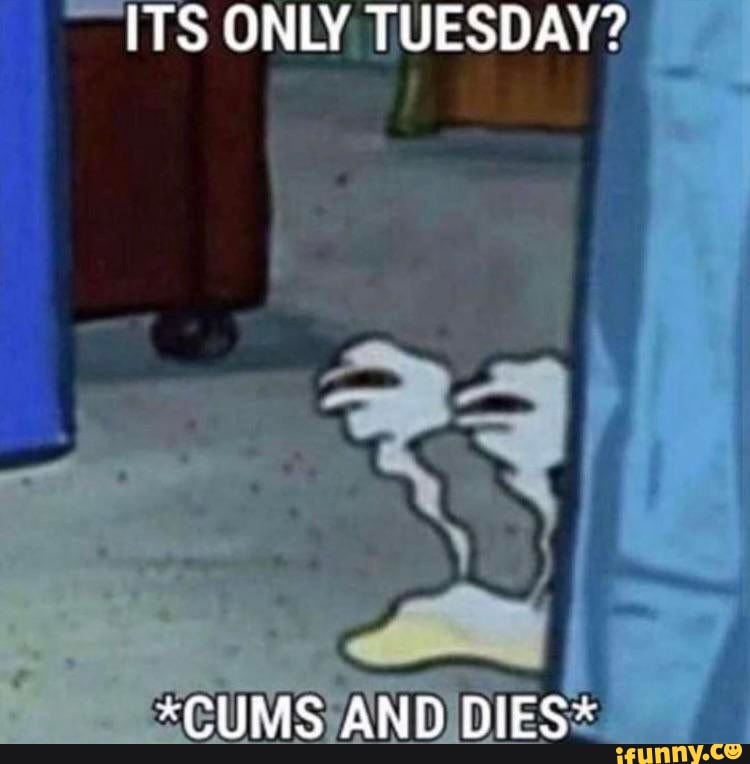 Only Tuesday Meme