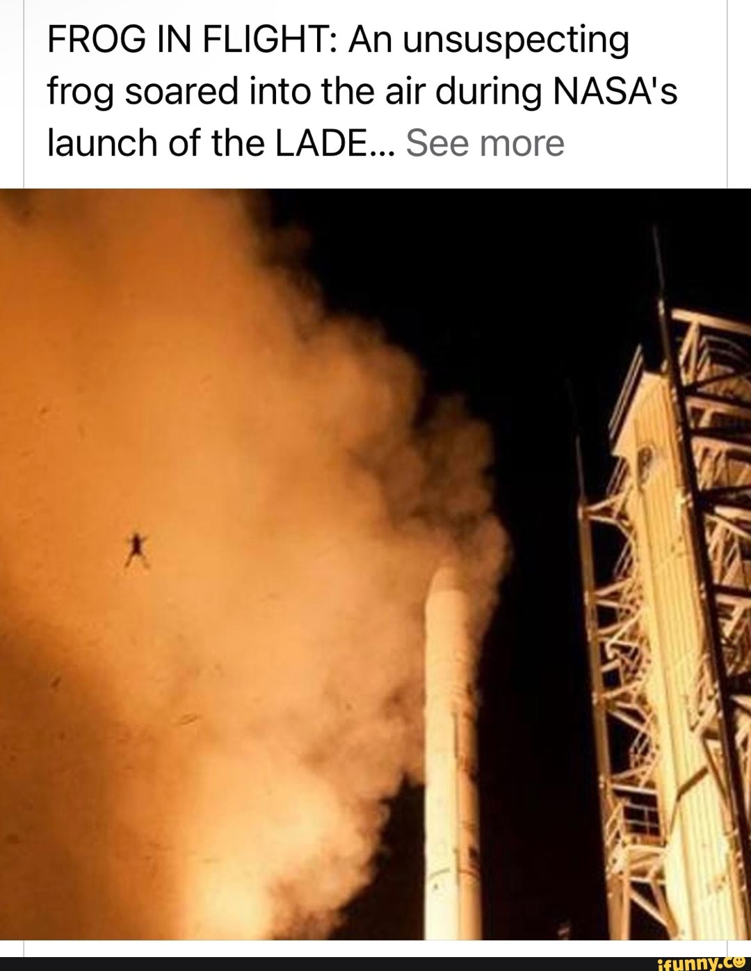 FROG IN FLIGHT: An unsuspecting frog soared into the air during NASA's ...