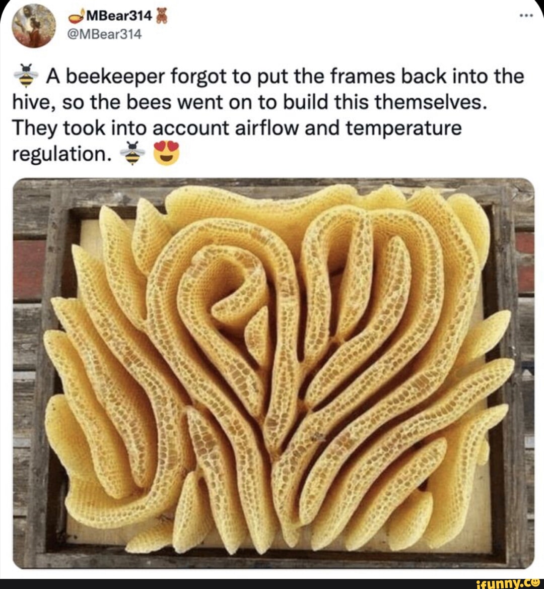 Airflow memes. Best Collection of funny Airflow pictures on iFunny