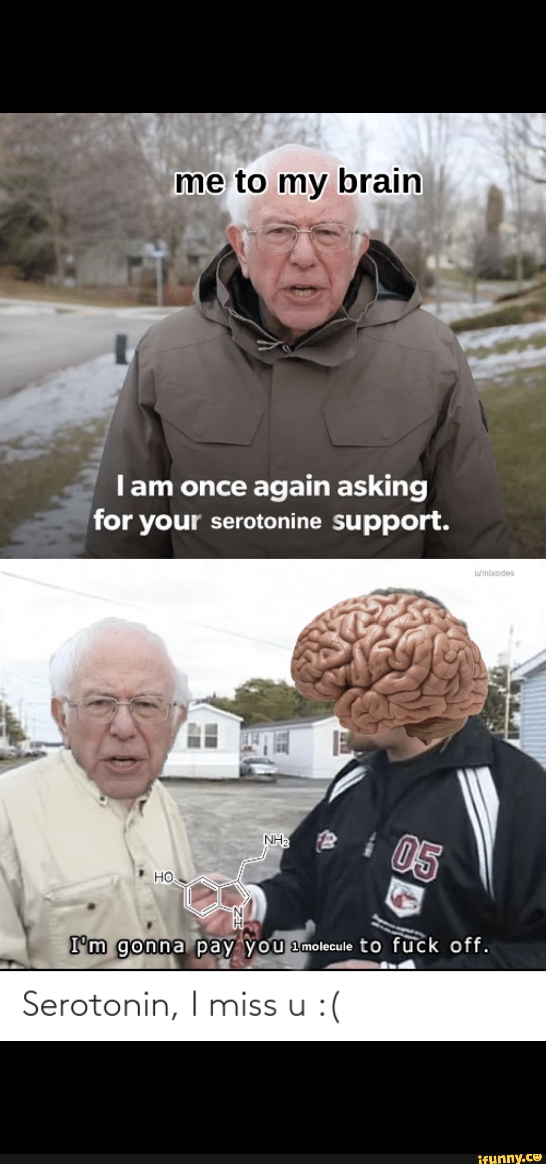 Serotonine memes. Best Collection of funny Serotonine pictures on iFunny