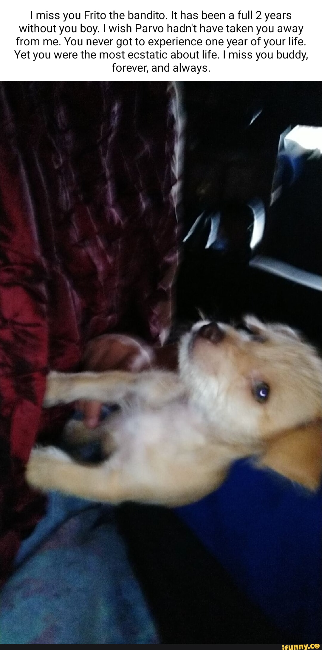 Bandito memes. Best Collection of funny Bandito pictures on iFunny