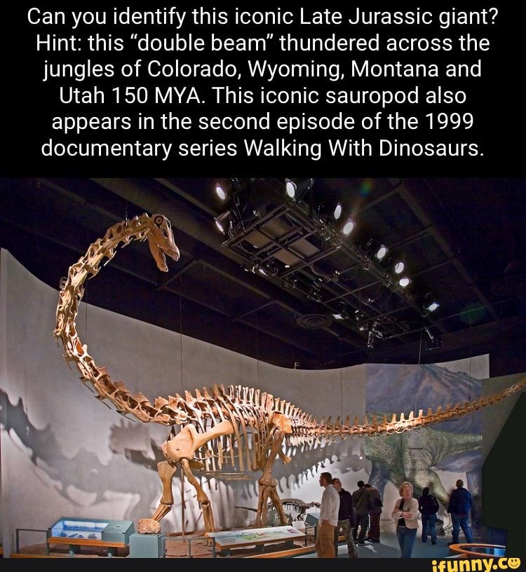 Can you identify this iconic Late Jurassic giant? Hint: this "double ...