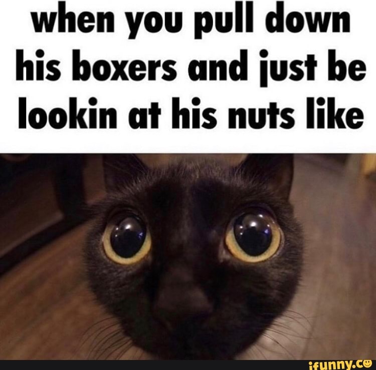 When you pull down his boxers and just be lookin at his nuts like - iFunny