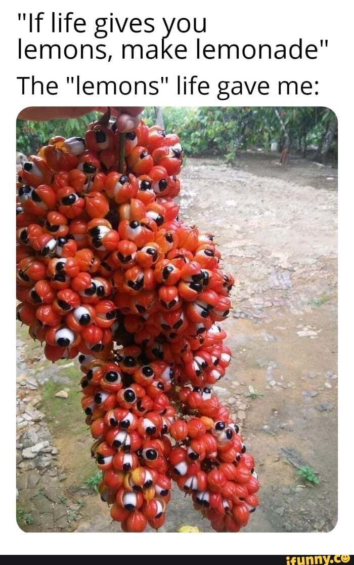 Cursed memes memes. The best memes on iFunny