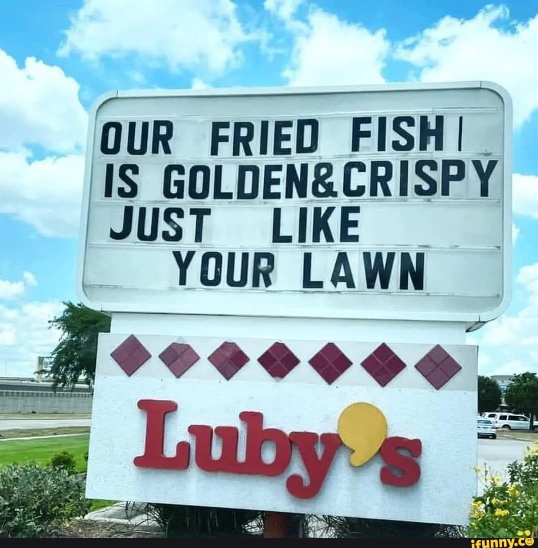 OUR FRIED FISH! IS GOLDEN& CRISPY JUST LIKE YOUR LAWN - iFunny