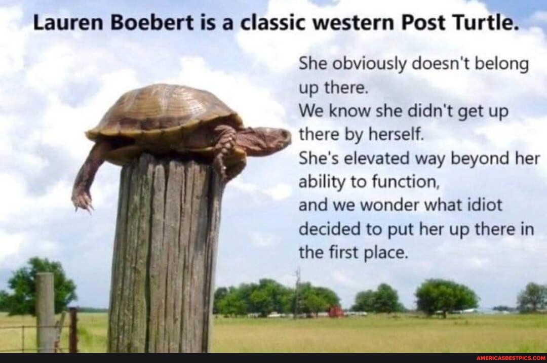 Lauren Boebert is a classic western Post Turtle. She obviously doesn't ...