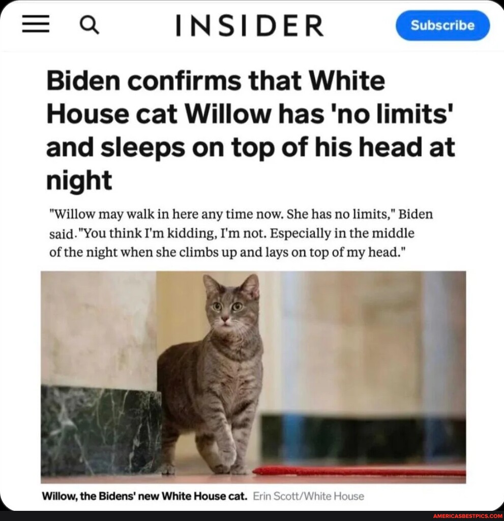 = INSIDER subscribe ) Biden confirms that White House cat Willow has ...