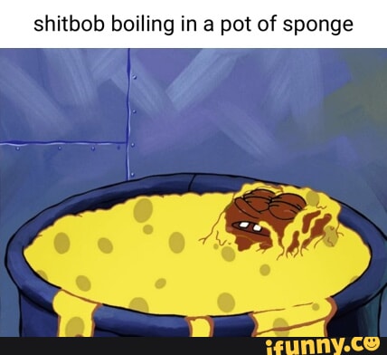 Shitbob boiling in pot of sponge - iFunny