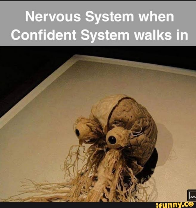 Nervous System when Confident System walks in - iFunny