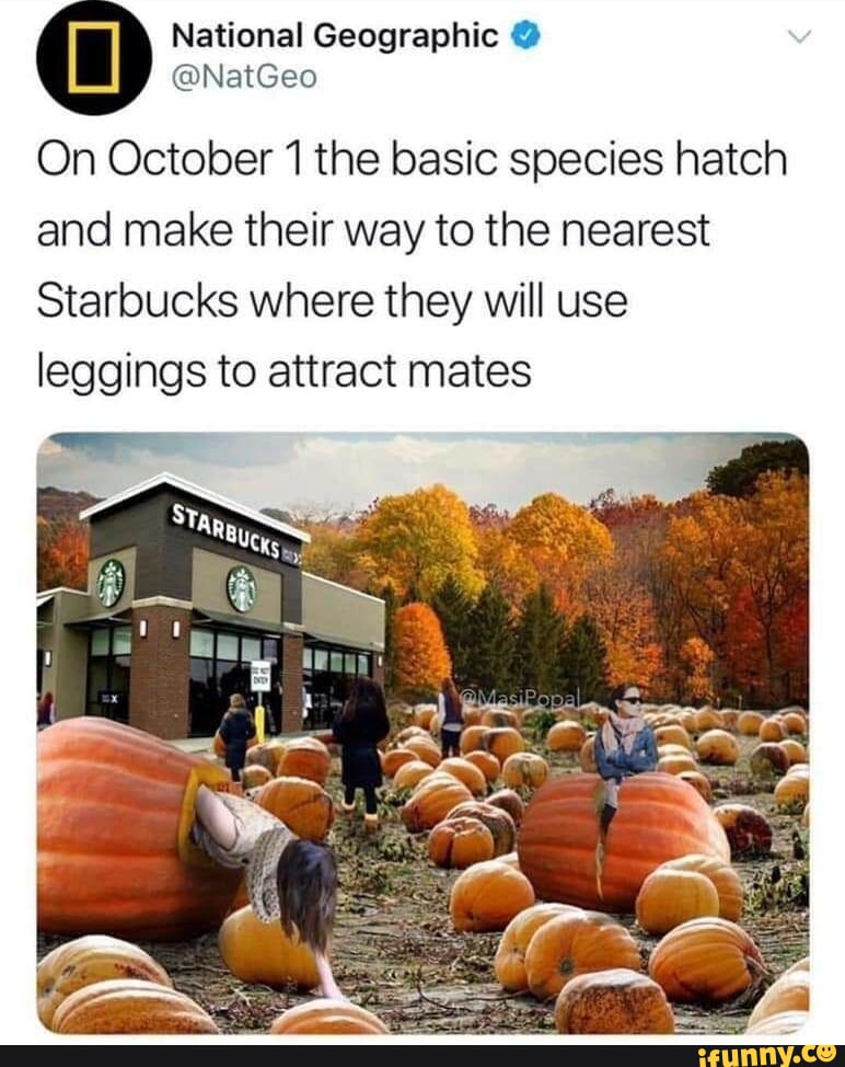 Basic memes. Best Collection of funny Basic pictures on iFunny