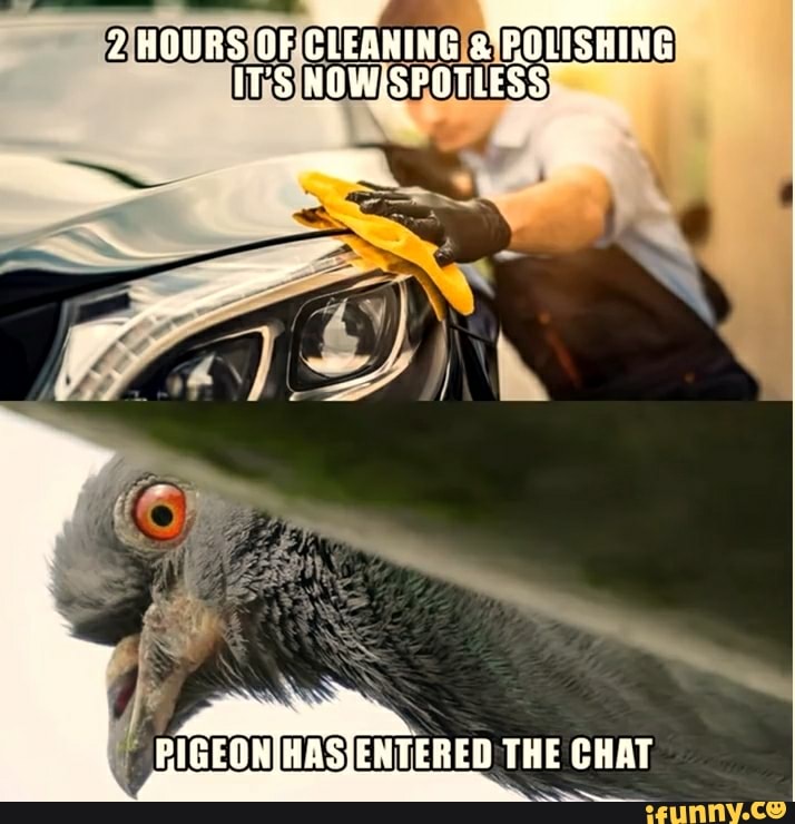 Clerning memes. Best Collection of funny Clerning pictures on iFunny