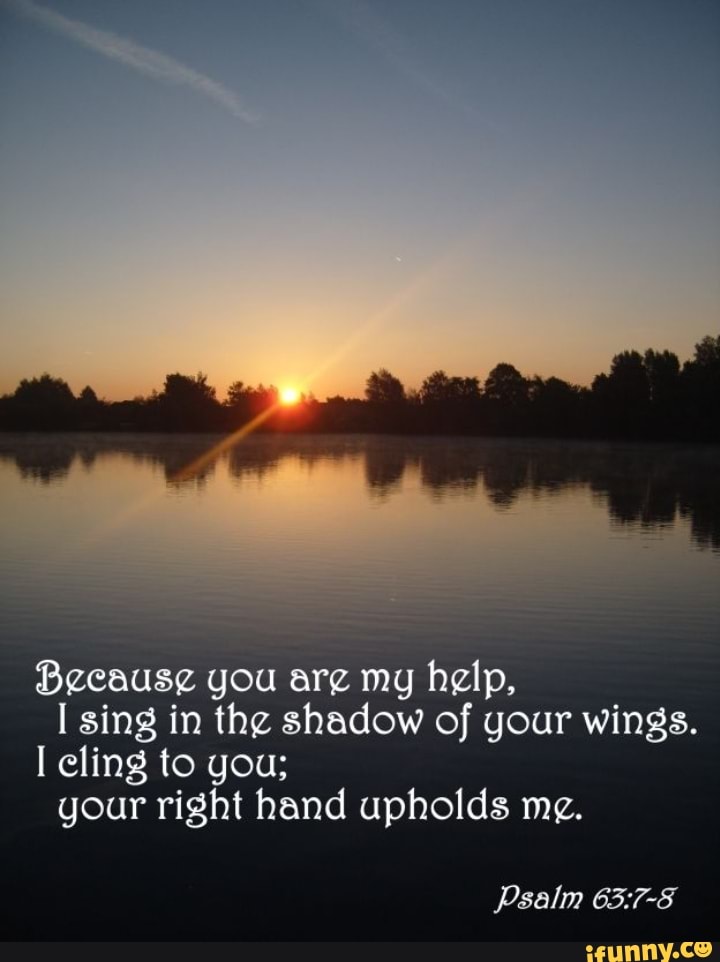Because you are my help, I sing in the shadow of your wings. cling to ...