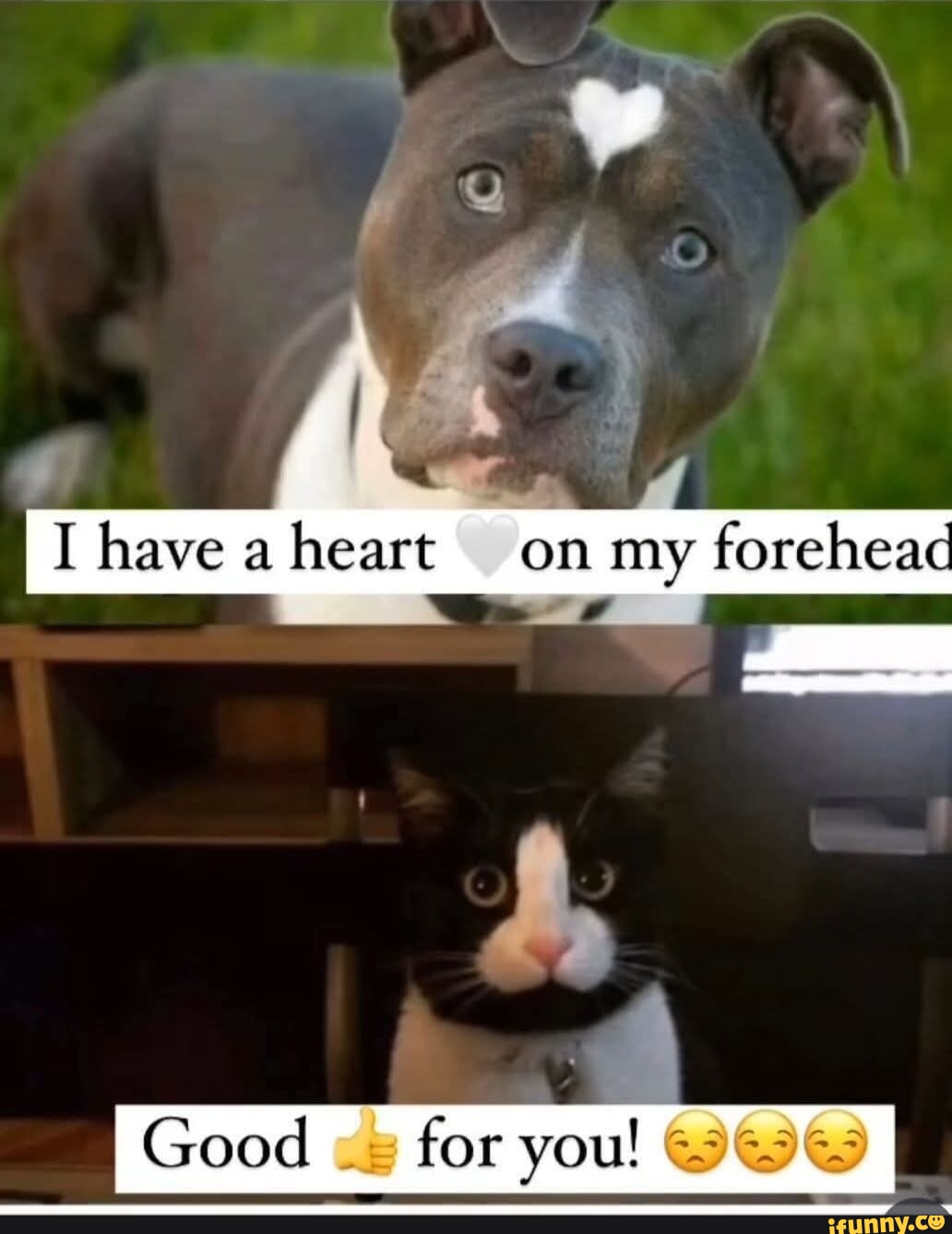 I have a heart om my forehead I Good & for you! - iFunny
